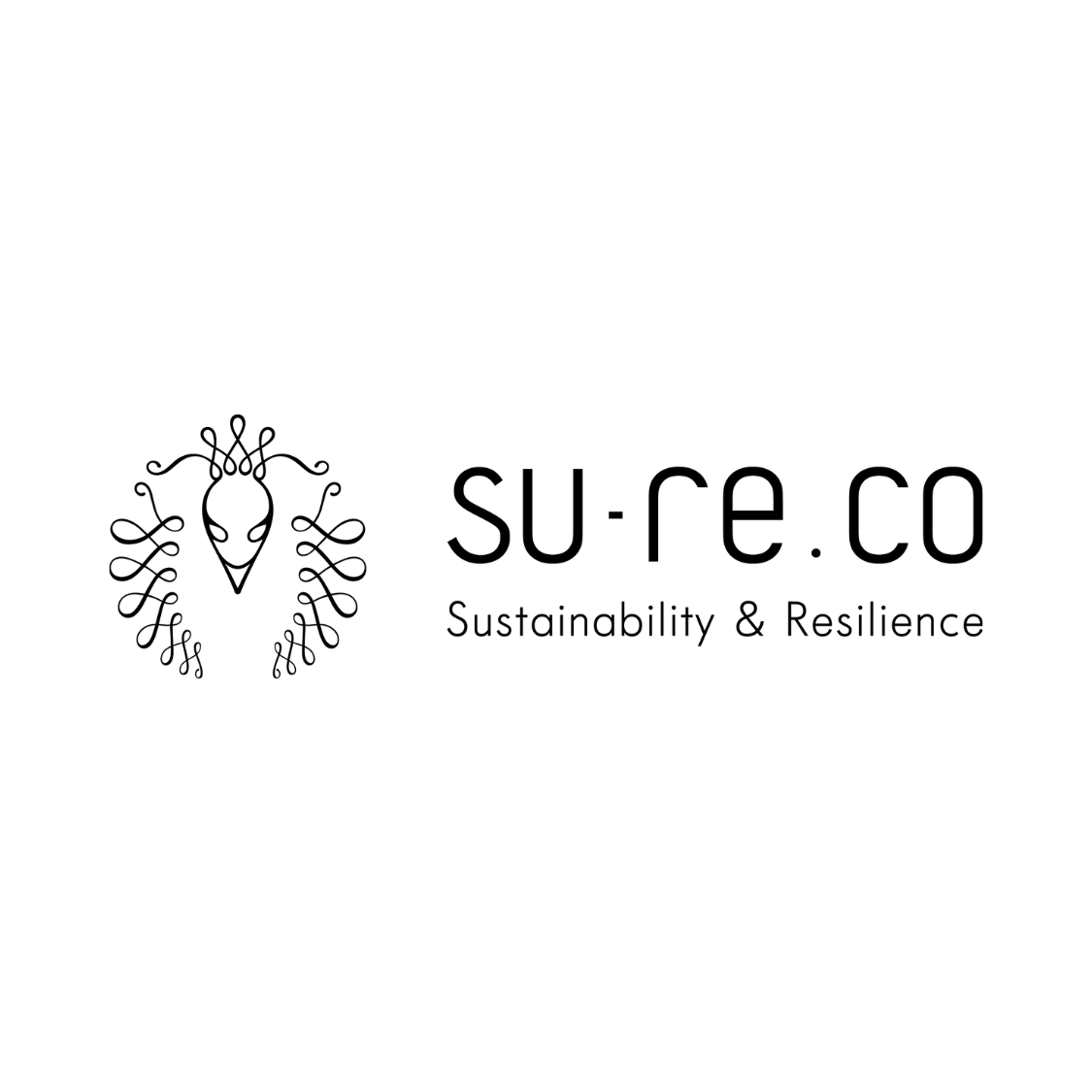 su-re.co - ASEAN Social Enterprise Development Programme